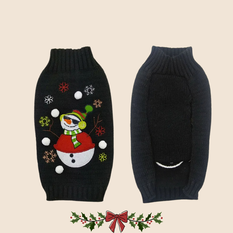 Cozy Pawlidays Sweater 🐶 ️ – Buddy's Pet